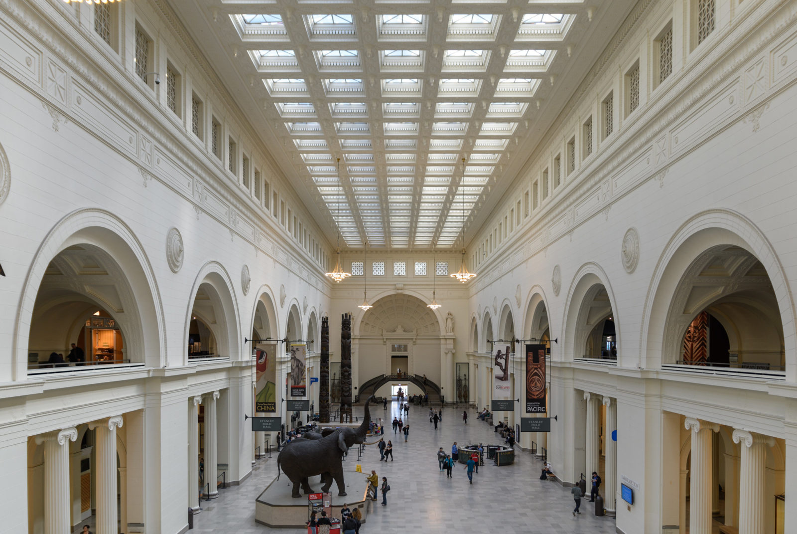 Museum Spotlight: The Field Museum — MG Group