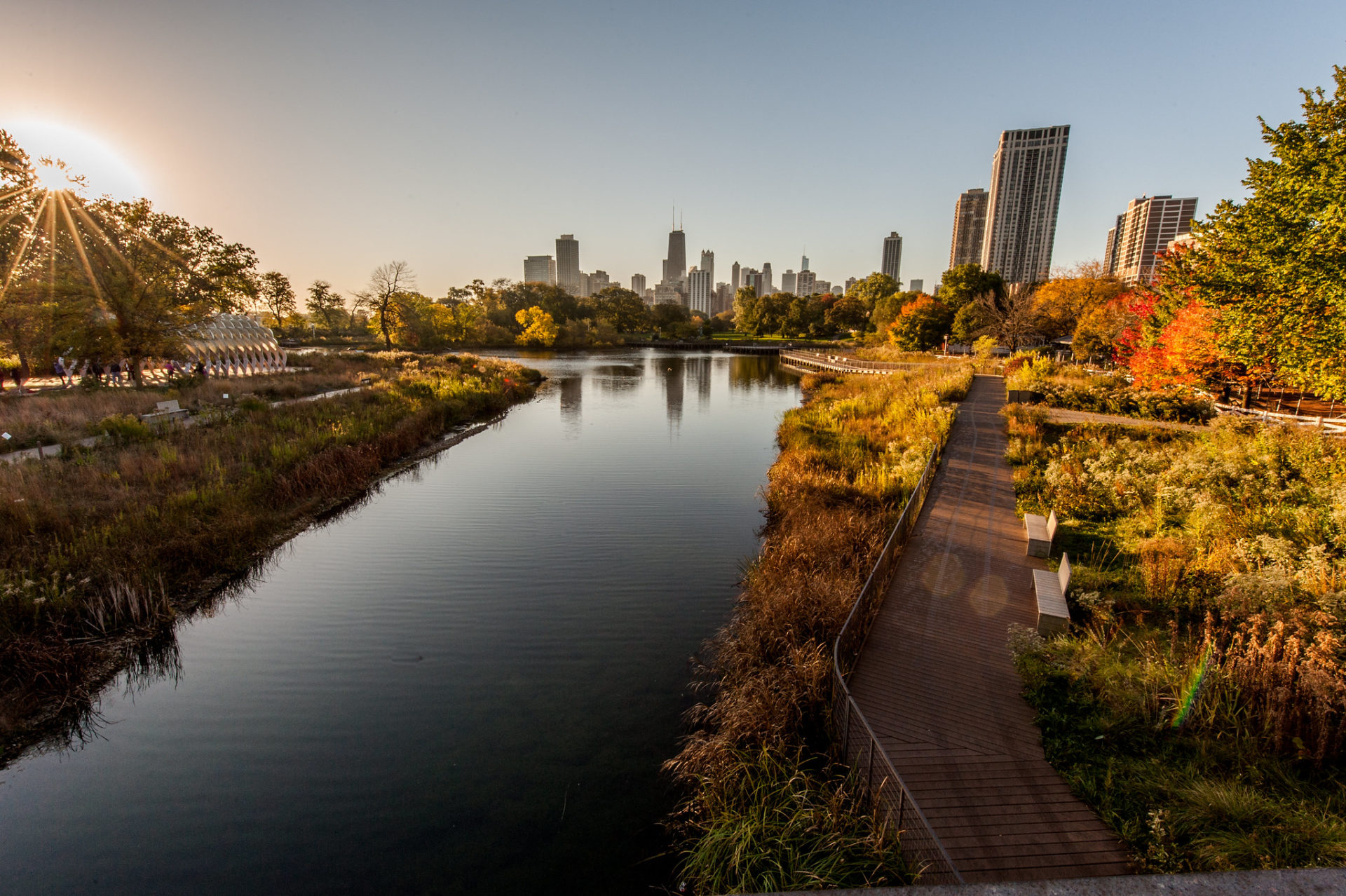 Where to Watch Fall Foliage in Chicago — MG Group